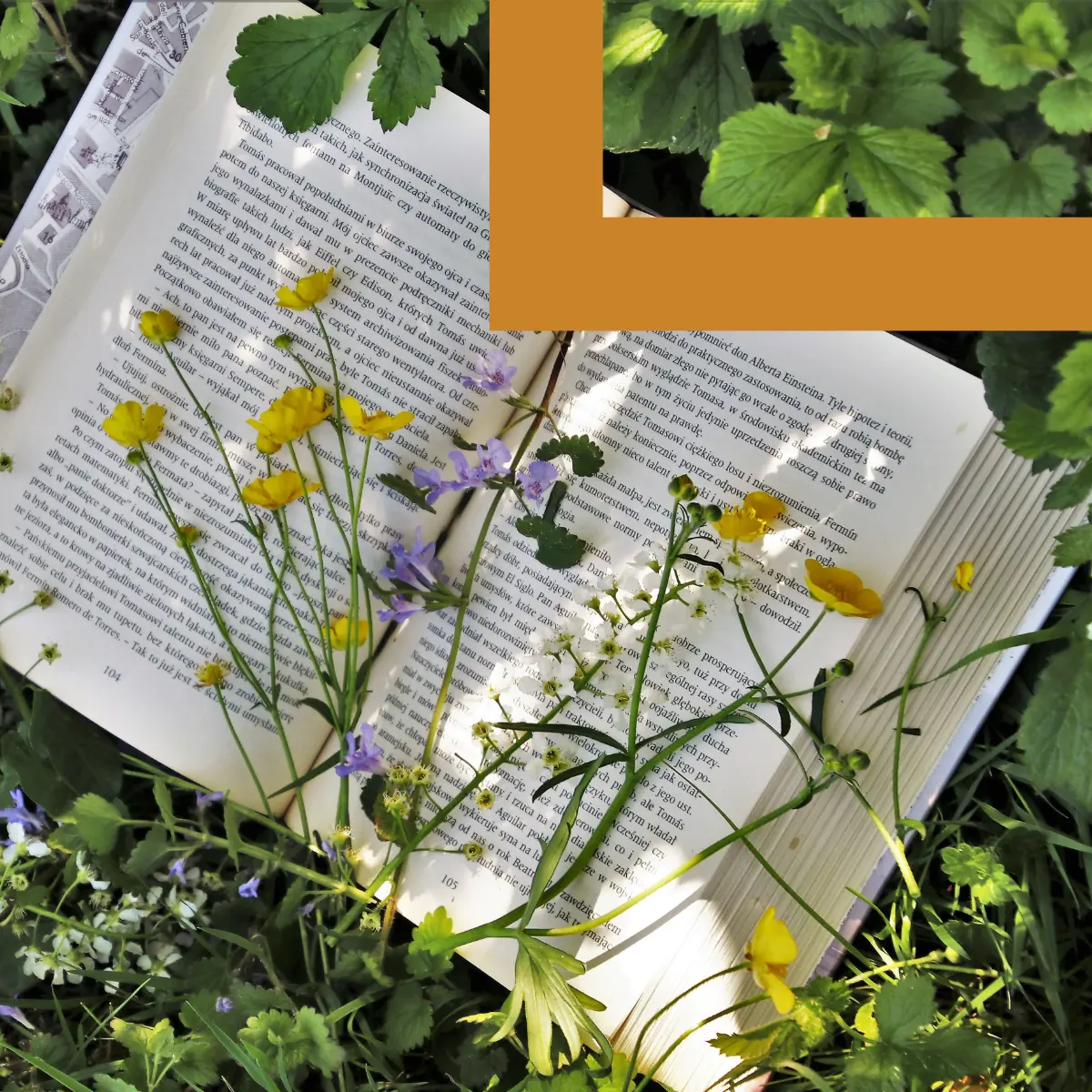 Home | Clarington Library, Museums & Archives